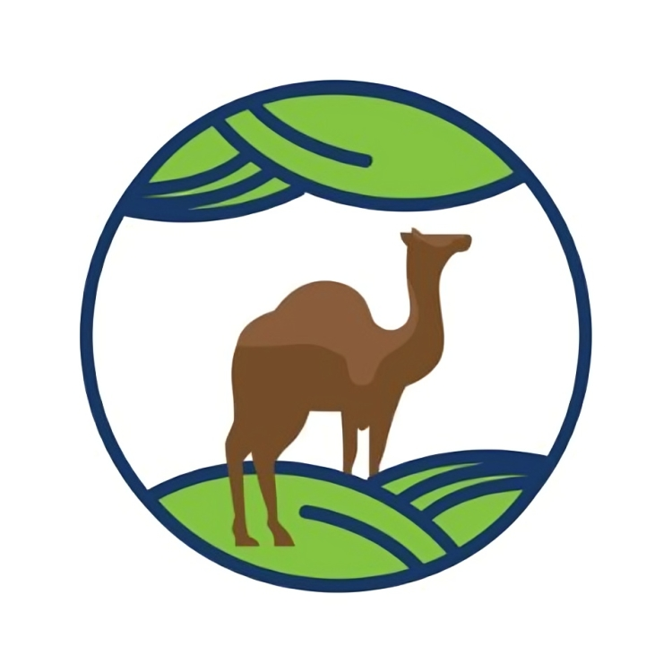 Hafar Al-Batin City for Livestock - Mashroo3k Consulting