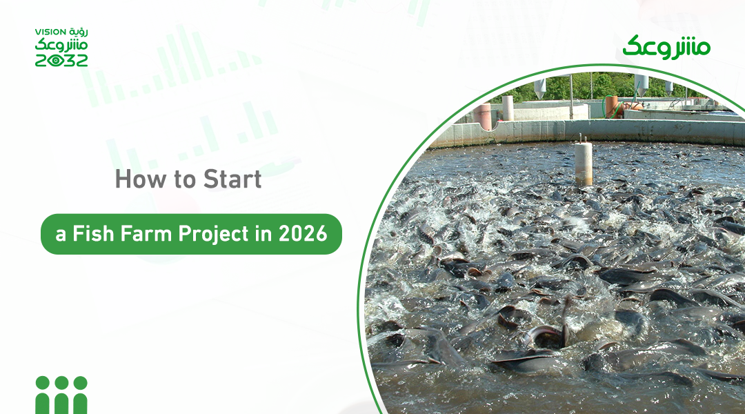 How to Start a Fish Farm Project in 2026 - Mashroo3k Consulting